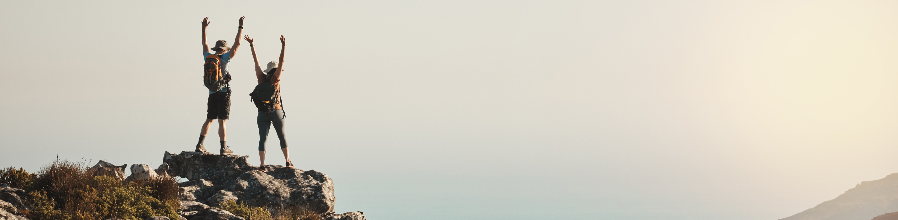 Alsa Search for Jobs